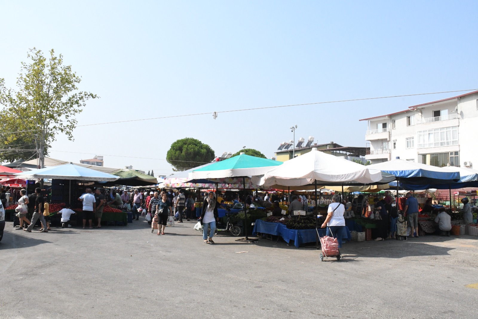 Perşembe Pazarı Bugün Yeni Yerinde Kuruldu